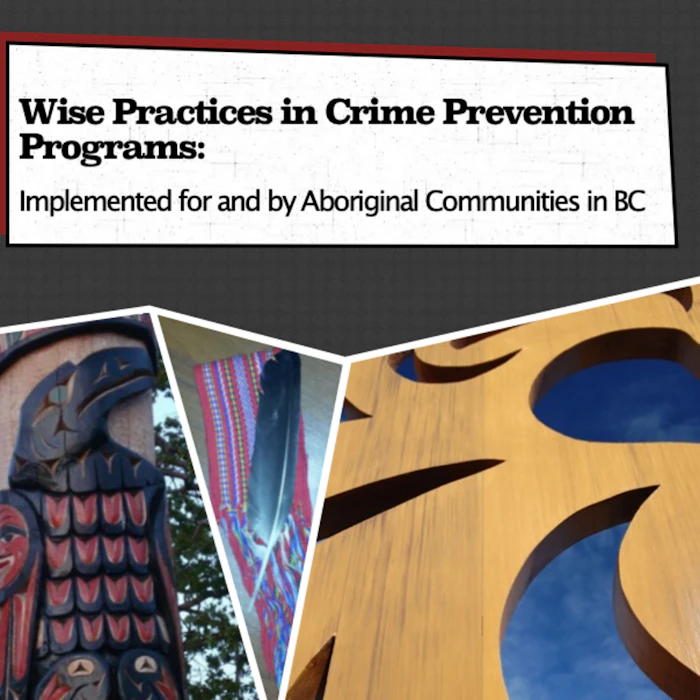 PSC - Wise Practices in Crime Prevention Programs — Reciprocal Consulting